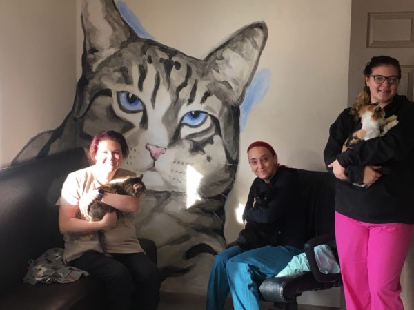 Artist Paints Mural at Cat Sanctuary to Celebrate the Gift of Nothing ...