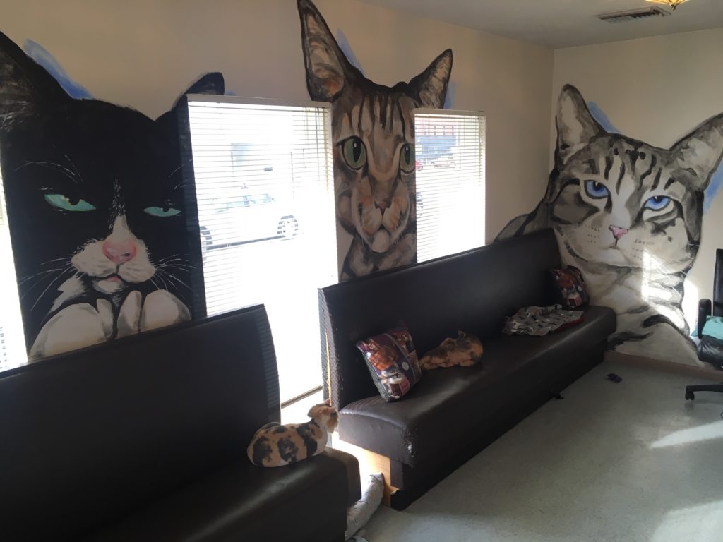 Artist Paints Mural at Cat Sanctuary to Celebrate the Gift of Nothing ...