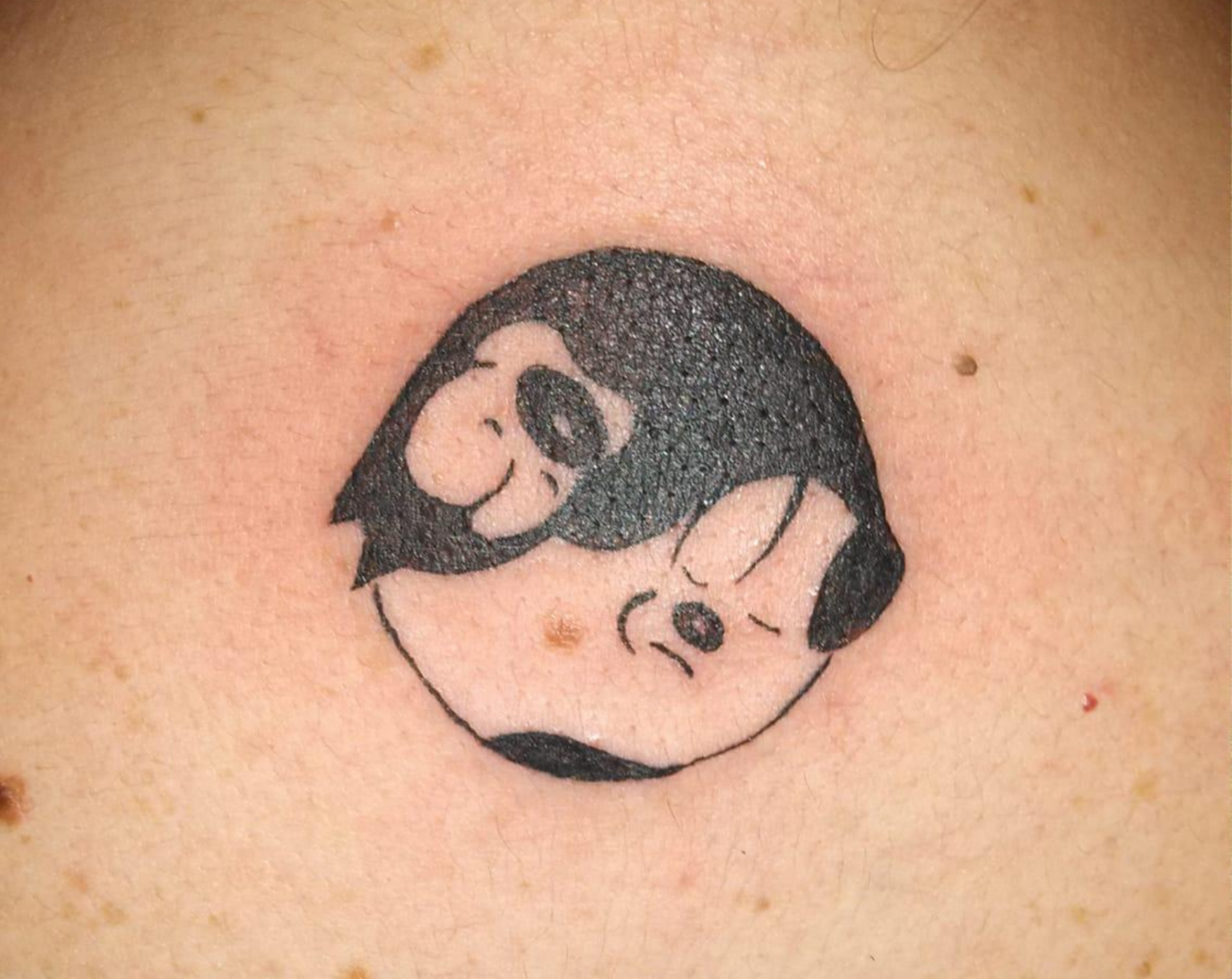 Show Off Your Ink: Readers Share MUTTS-Inspired Tattoos