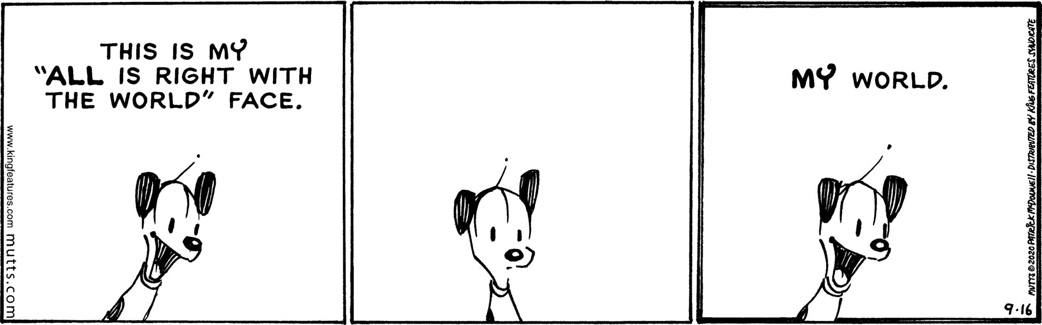 What MUTTS Means To You: Making A Difference
