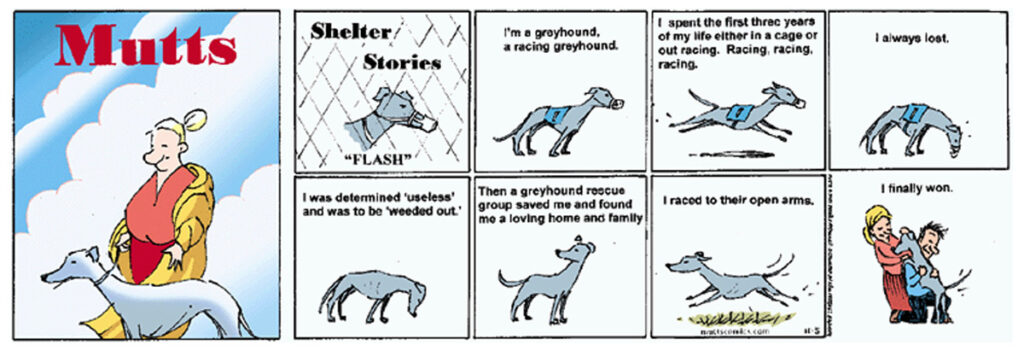 What MUTTS Means To You: A Lasting Impression