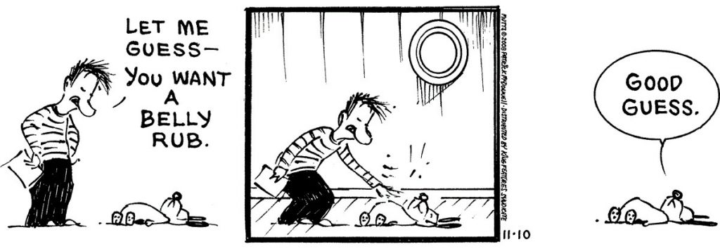 A Look Inside: 10 Shpecial Facts About MUTTS