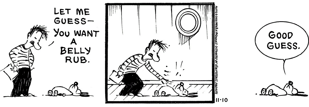 A Look Inside: 10 Shpecial Facts About MUTTS