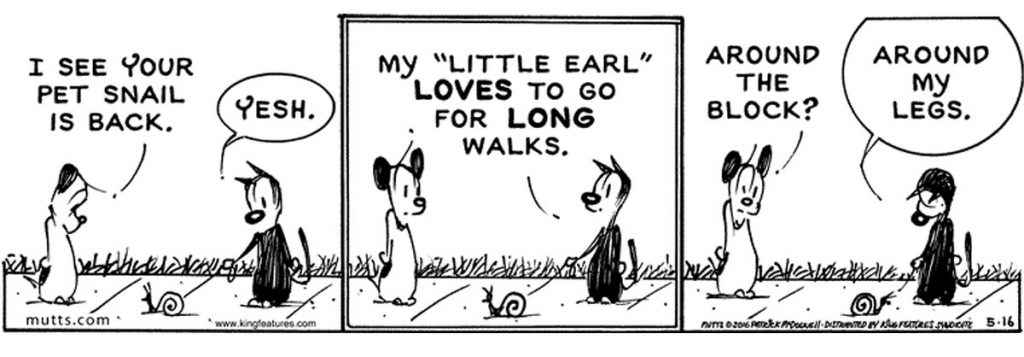 A Look Inside: 10 Shpecial Facts About MUTTS