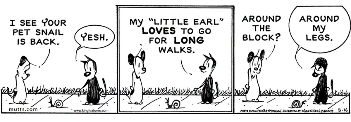 A Look Inside: 10 Shpecial Facts About MUTTS