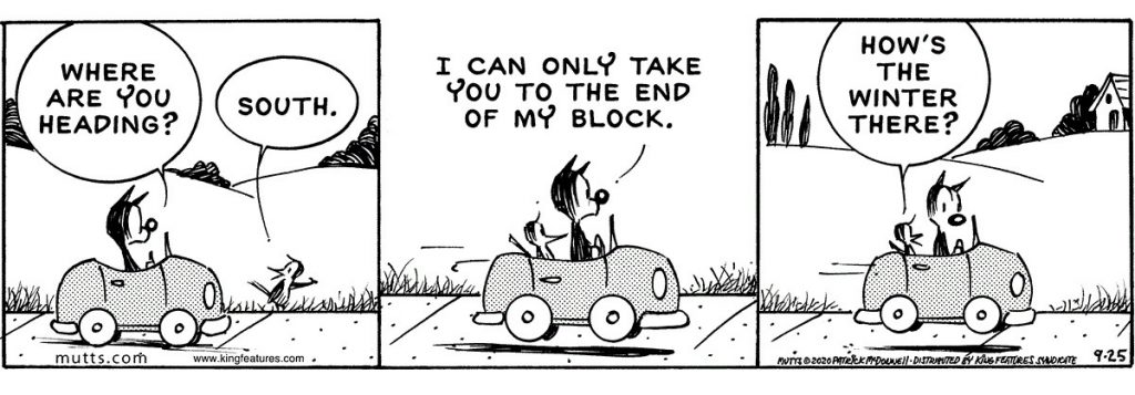 A Look Inside: 10 Shpecial Facts About MUTTS