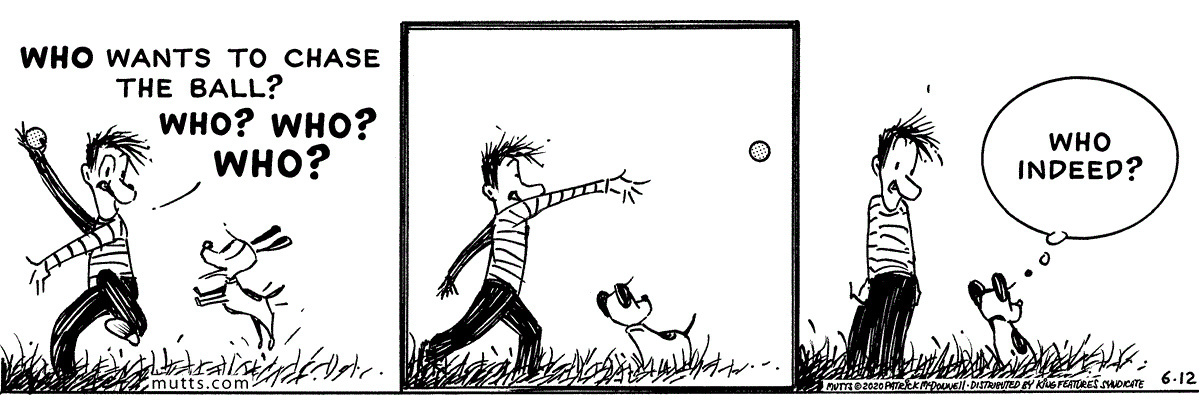 A Look Inside: 10 Shpecial Facts About MUTTS